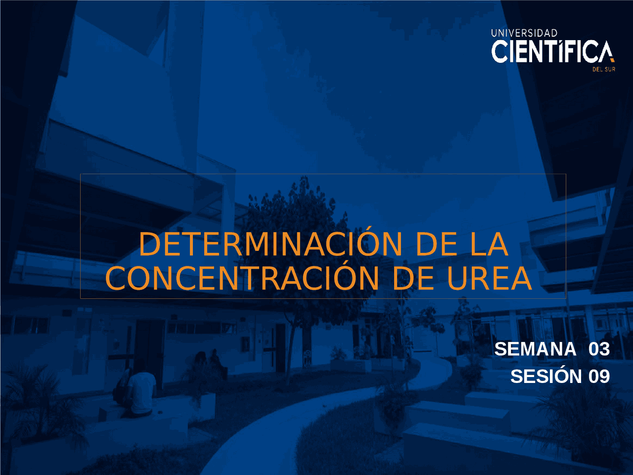 CUANTIFICACIÓN DE LA UREA METODO DE LABORATORIO UNALM | Monografías ...