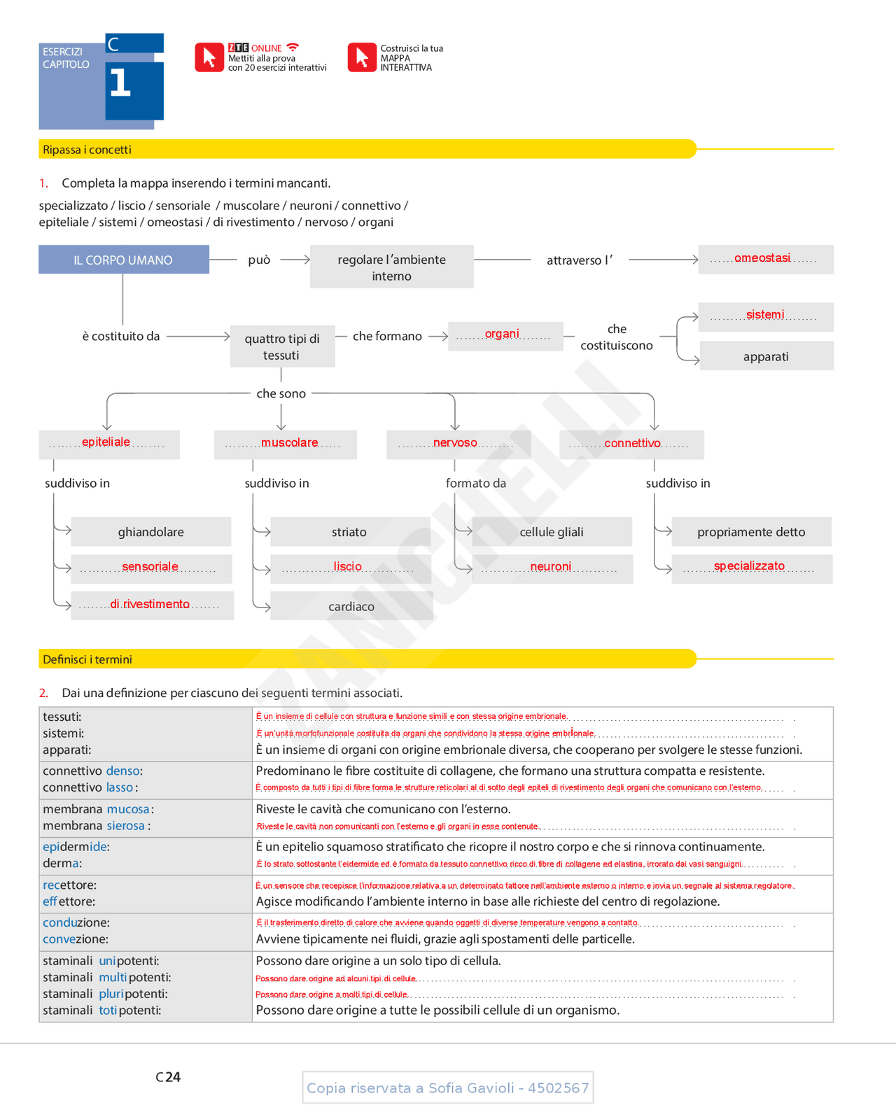 Sistema Cardiocircolatorio Esercizi Di Biologia Docsity