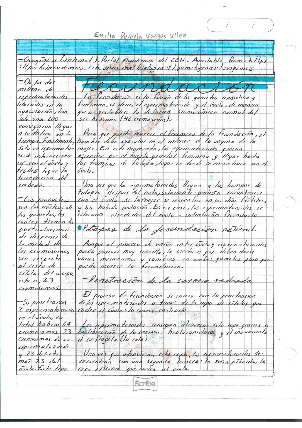 Fecundacion Y Embarazo Apuntes De Embriología Docsity