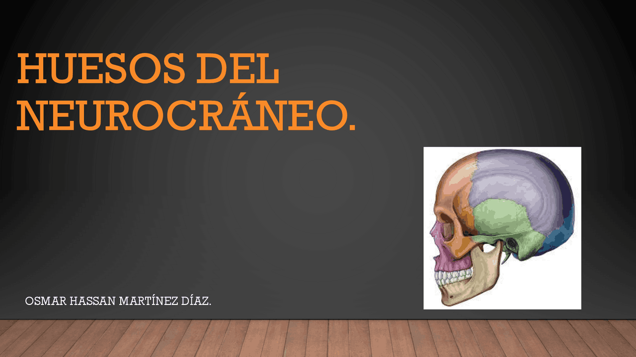 Huesos Del Neurocraneo Monografías Ensayos De Anatomía Docsity