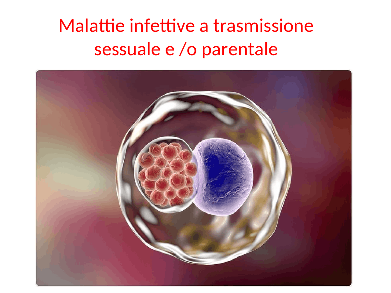 Presentazione Power Point Malattie Sessualmente Trasmissibili Mst