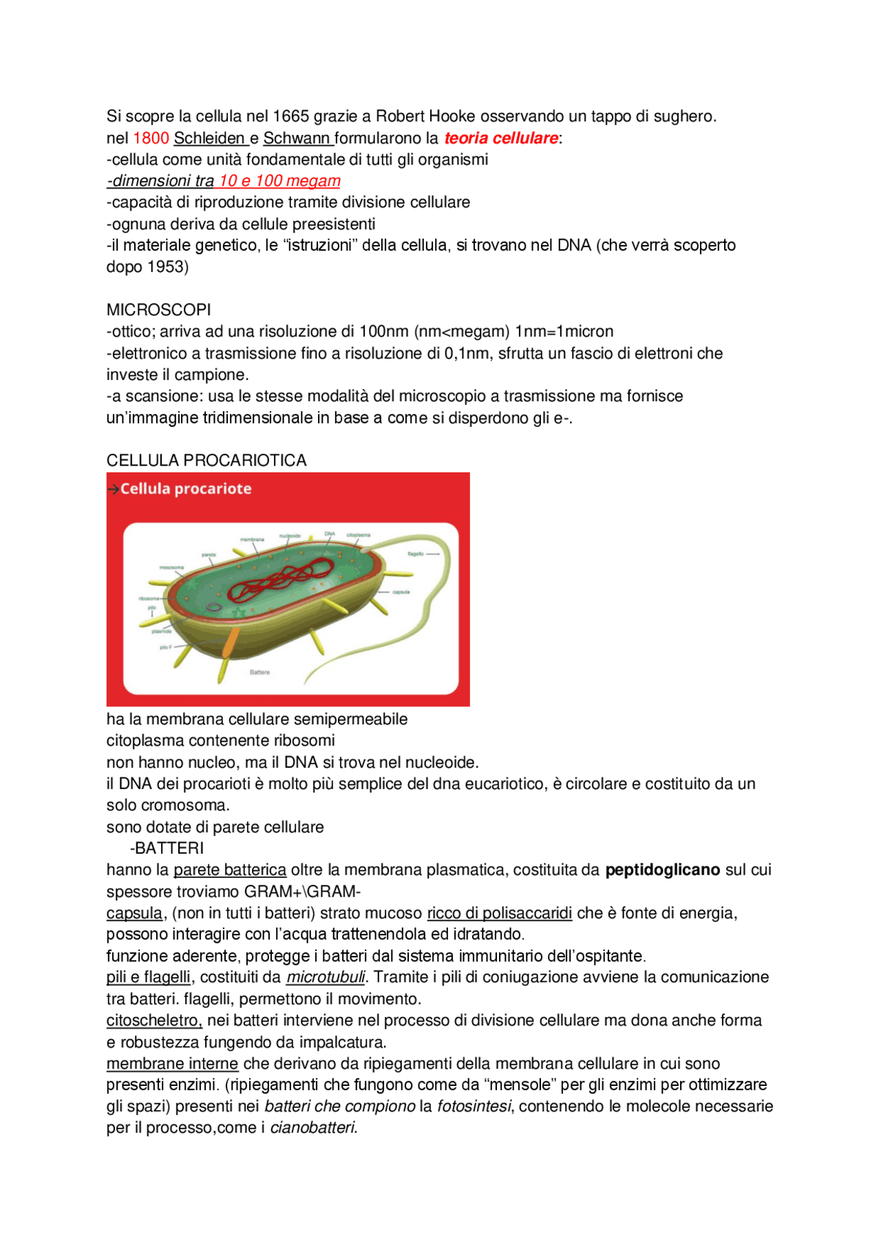 CITOLOGIA: cellula procariote vs eucariote ed ORGANELLI | Appunti di Biologia | Docsity