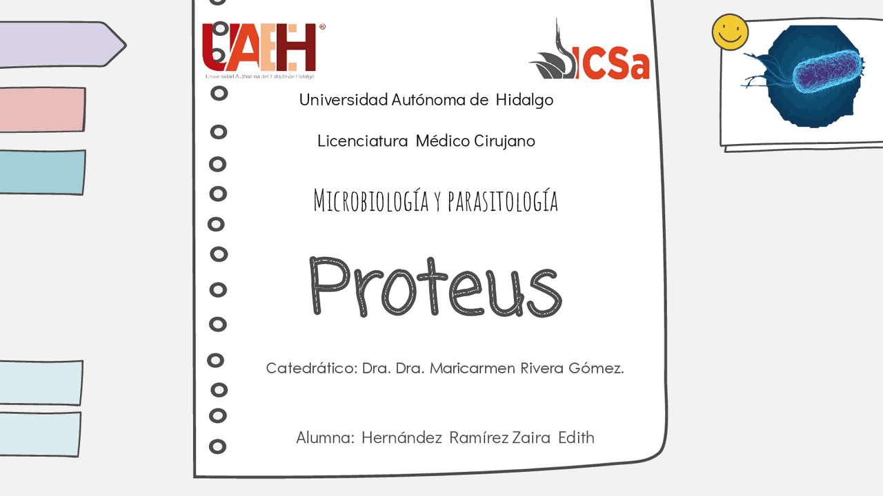 Microbiología Y Parasitología Proteus Esquemas Y Mapas Conceptuales