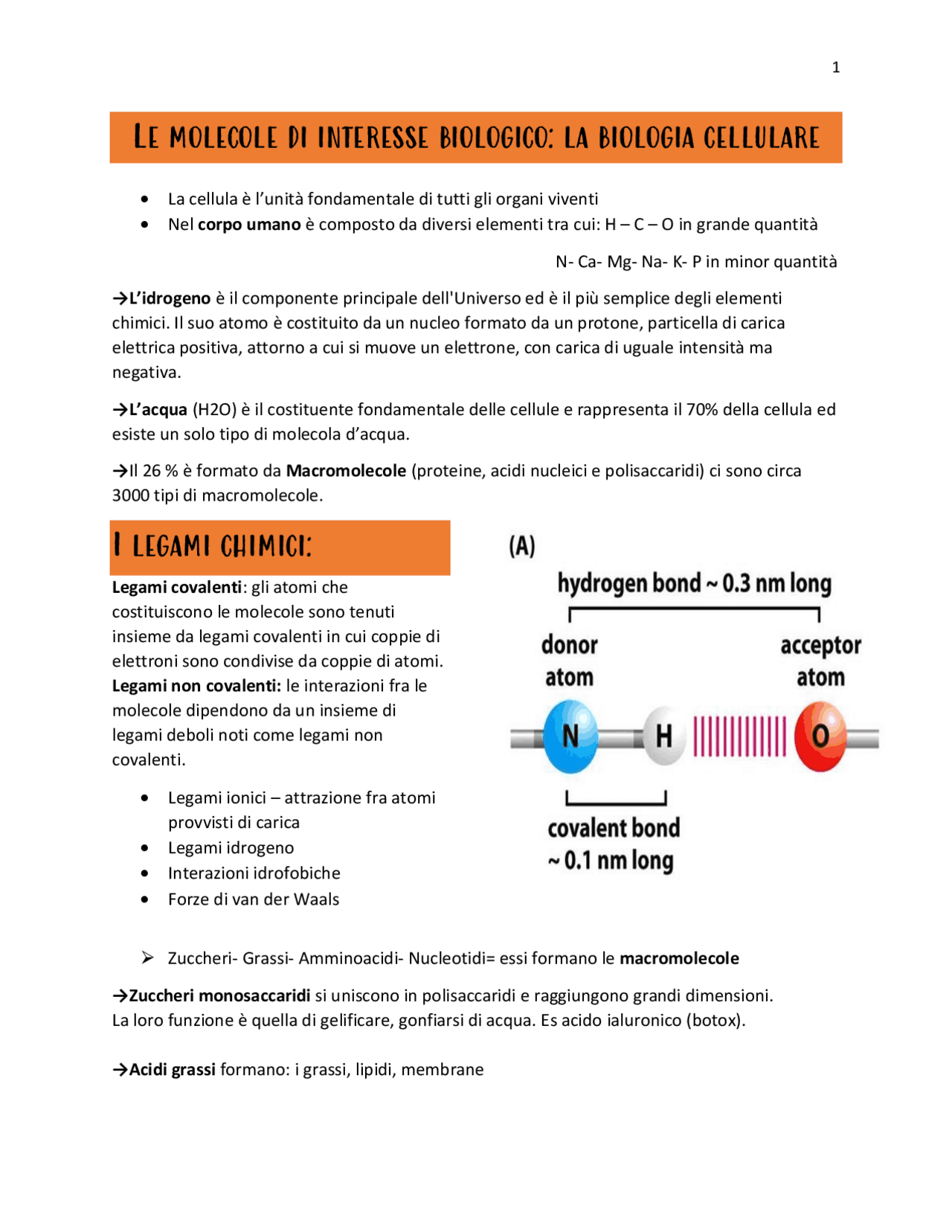 Biologia animale e Dna | Appunti di Biologia Animale | Docsity