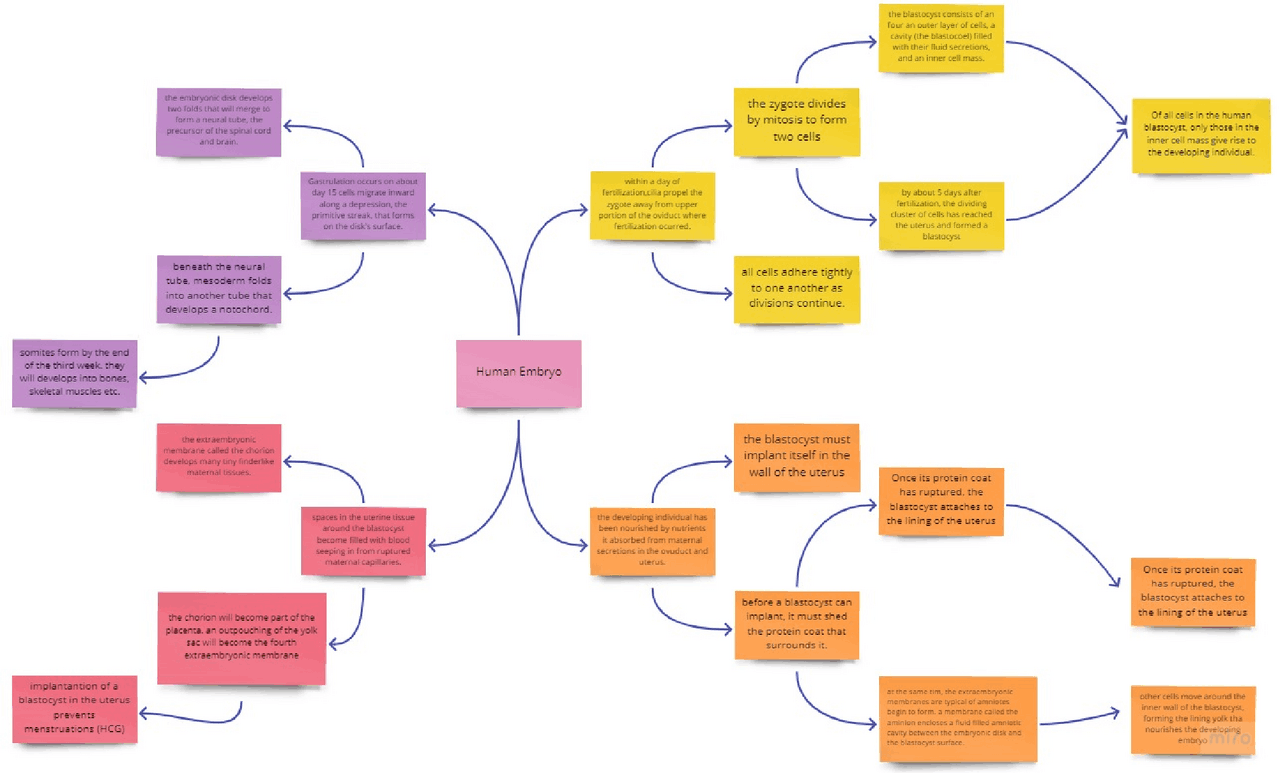 Mapa conceptual de ingles | Esquemas y mapas conceptuales de Inglés | Docsity