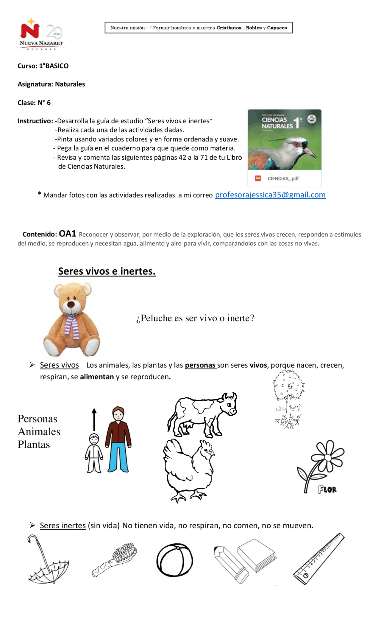 Guia De Ciencias Naturales Primero Basico Seres Vivos Y Seres Inertes ...