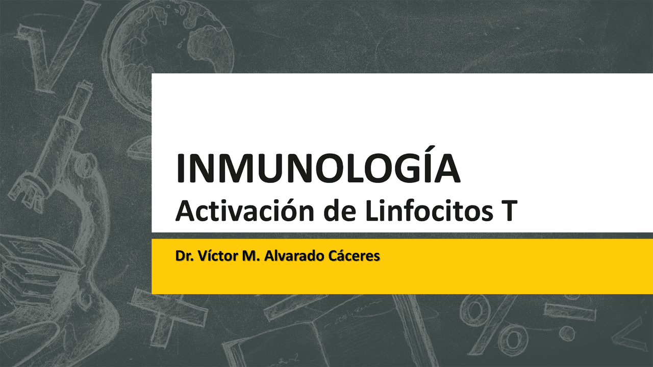 Activación De Linfocitos T Monografías Ensayos De Inmunología Docsity