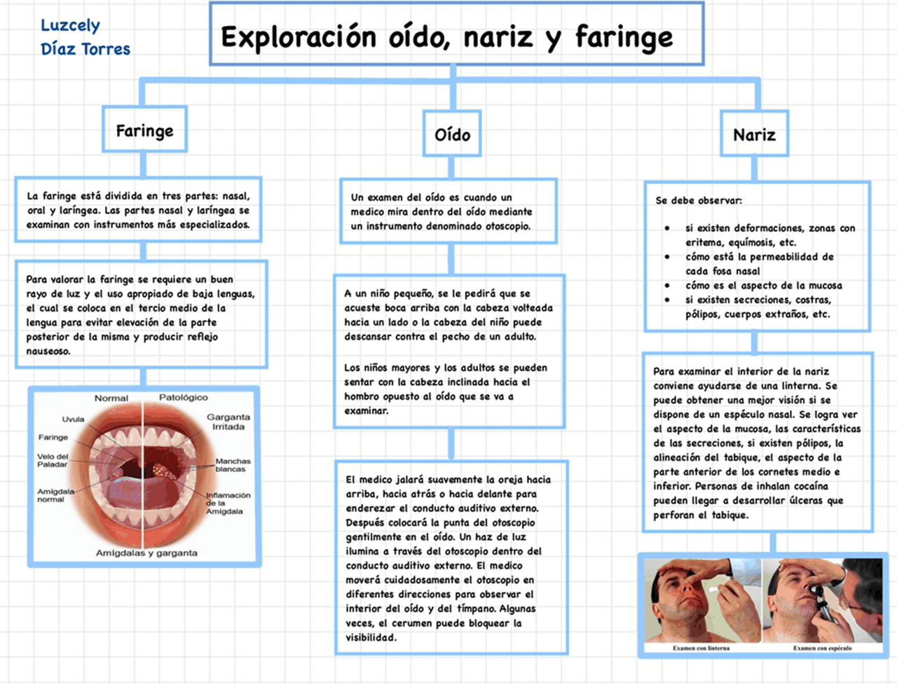 Exploración nariz, oído y faringe | Esquemas y mapas conceptuales de ...