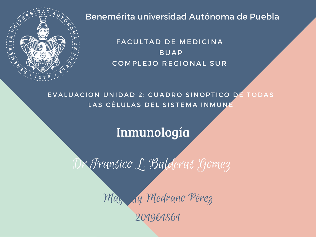 Tipos De Celulas De La Respuesta Inmune Apuntes De Inmunología Docsity