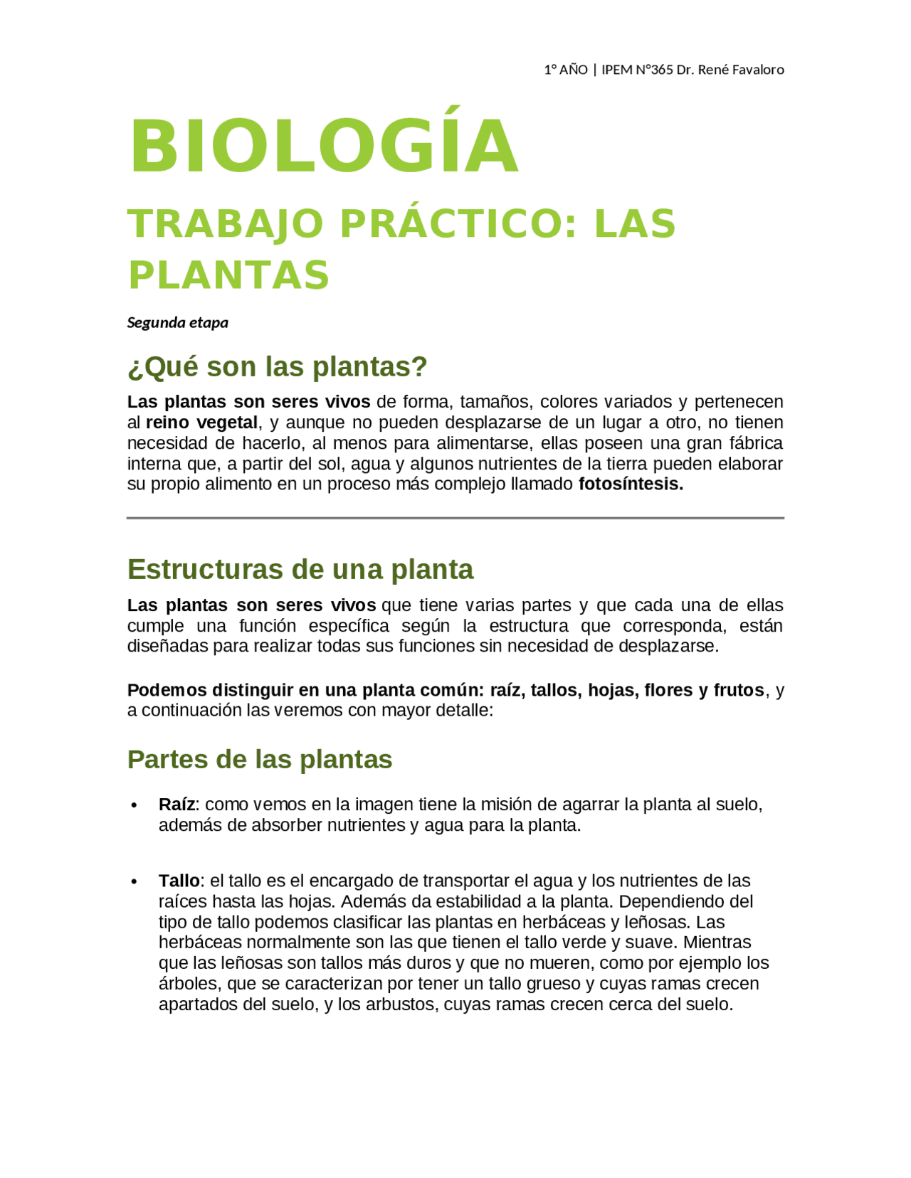 Hoja De Trabajo De Biología Vegetal