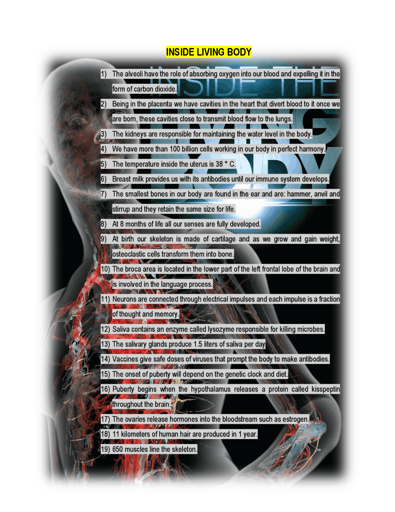 Inside in the living body | Resúmenes de Idioma Inglés | Docsity