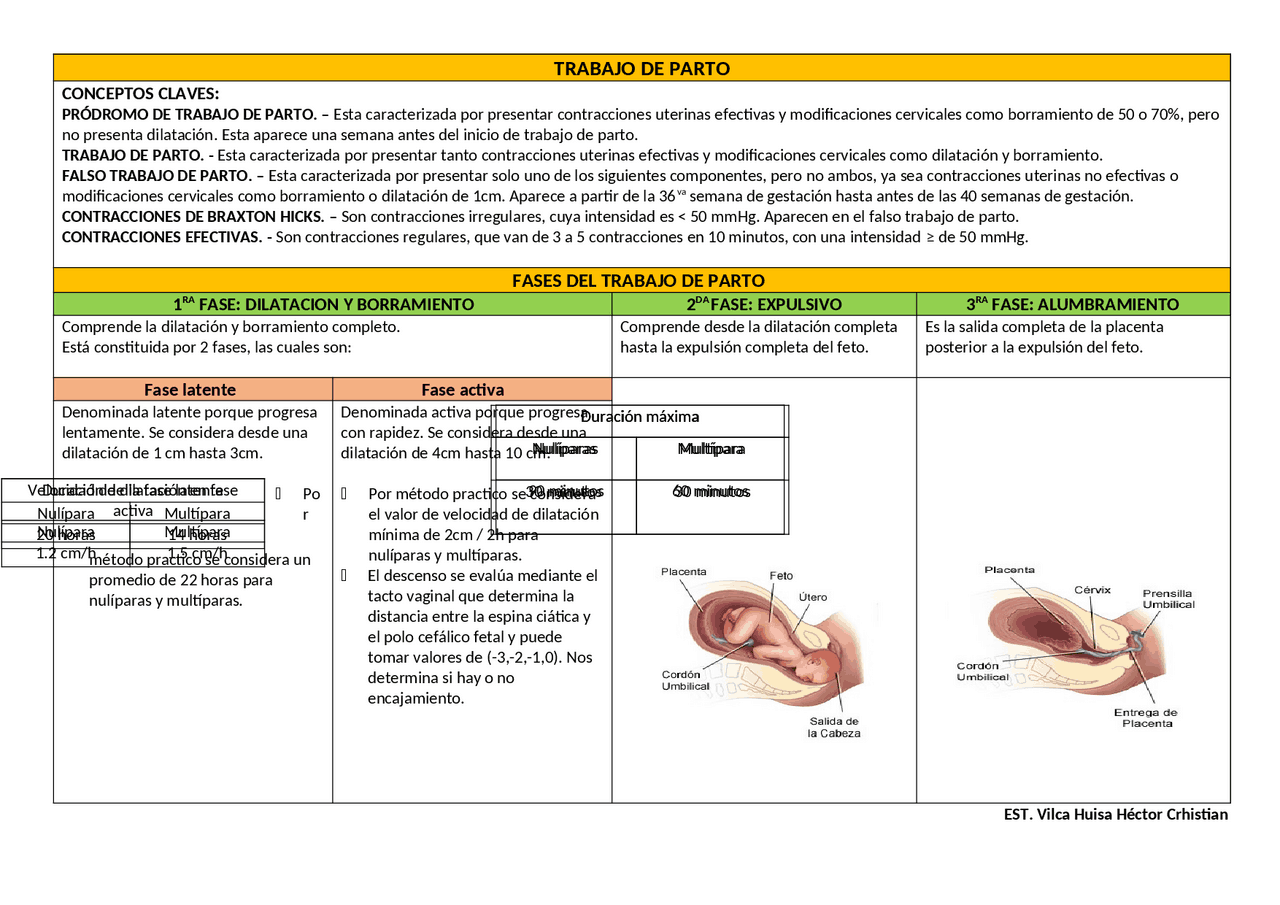 Resumen de fases del parto | Diapositivas de Ginecología | Docsity