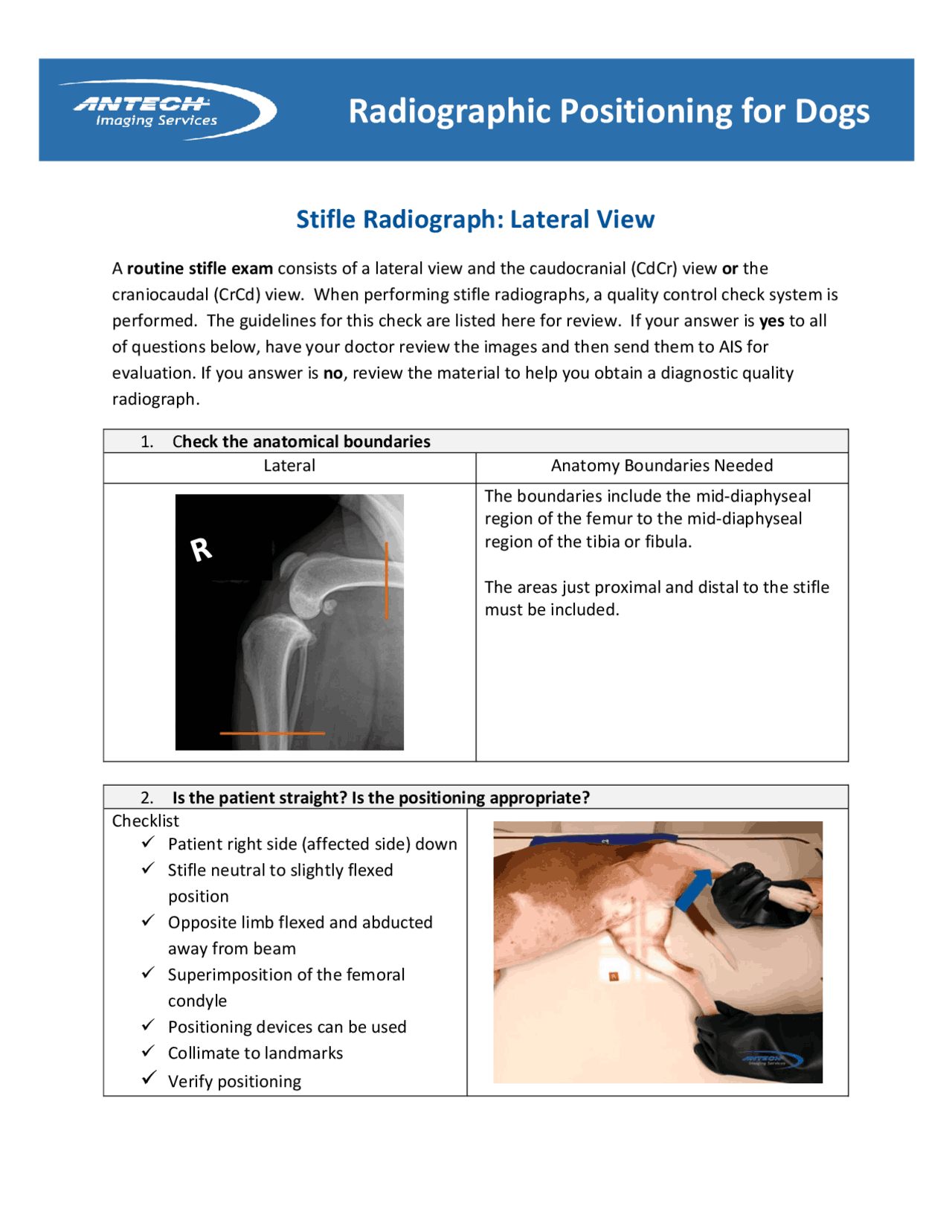 Radiographic Positioning for Dogs | Study notes Anatomy | Docsity