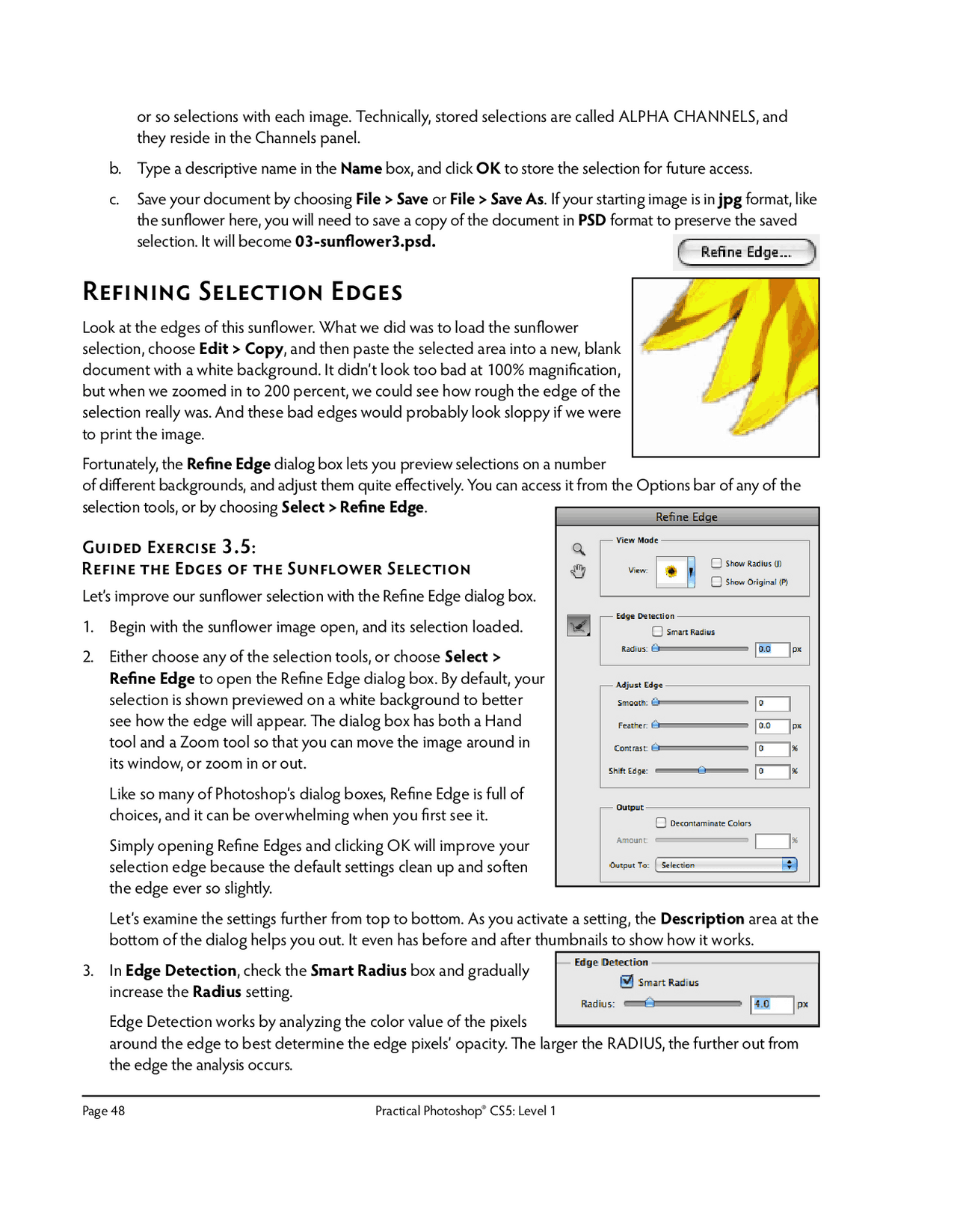 Refining Selection Edges in Adobe Photoshop CS5: A Step-by-Step Guide ...