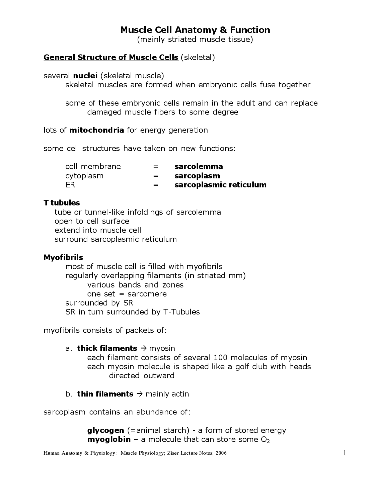 Muscle Cell Anatomy And Function Lecture Notes Anatomy Docsity