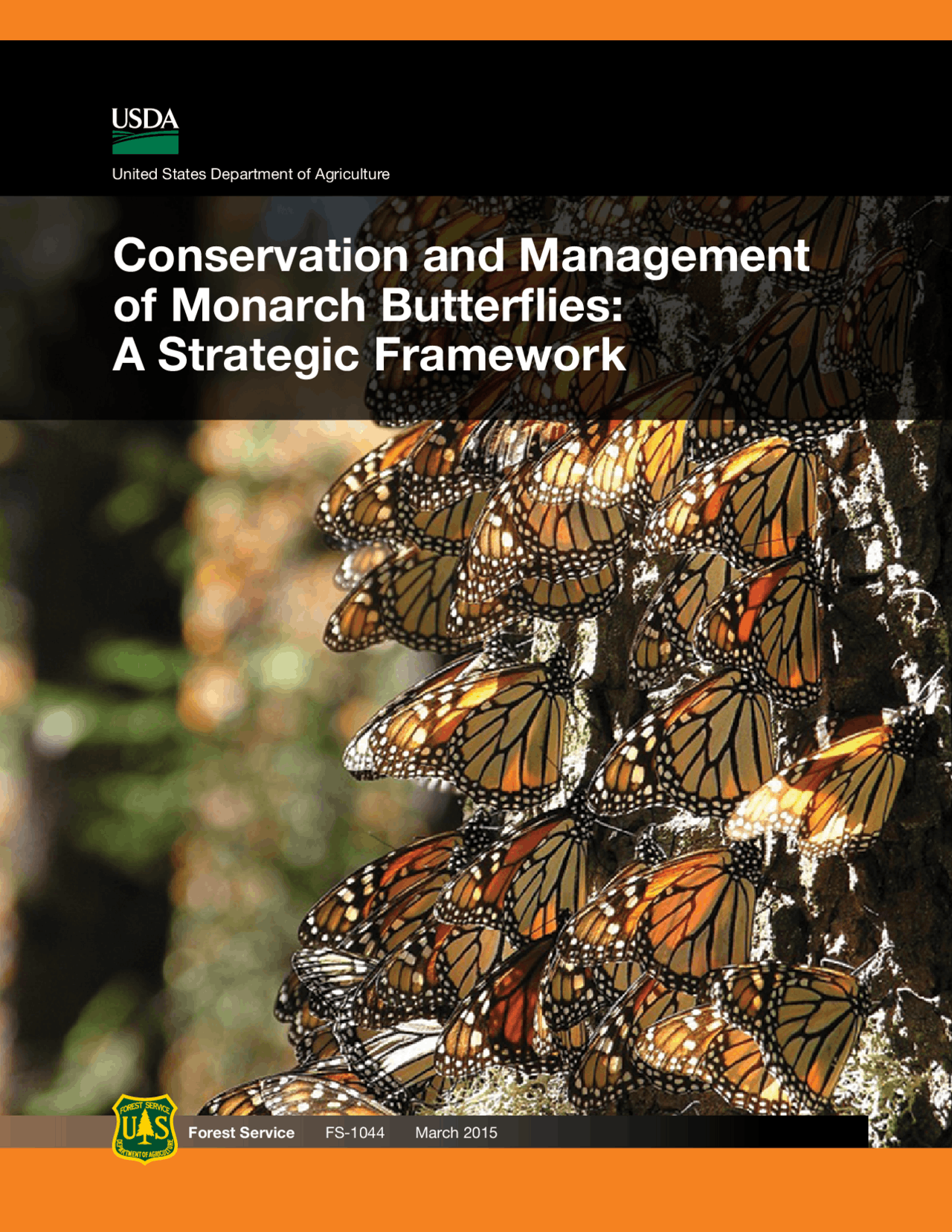 Conservation and Management of Monarch Butterflies | Slides Dynamics ...