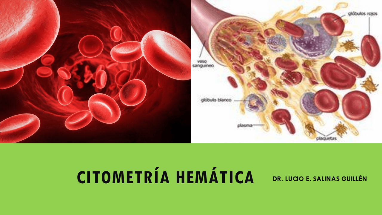 La citometria hematica y su aplicación | Diapositivas de Hematología ...
