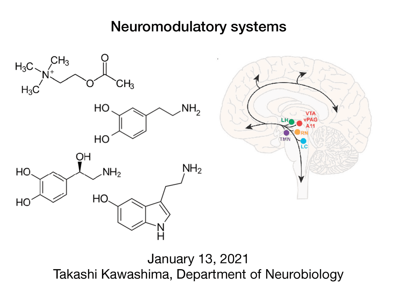Neuromodulators: Types, Functions, and Mechanisms | Exercises ...