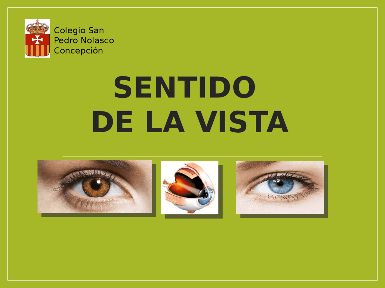 Anatomía y Funcionamiento del Sistema Visual: Ojo y Procesamiento de la ...