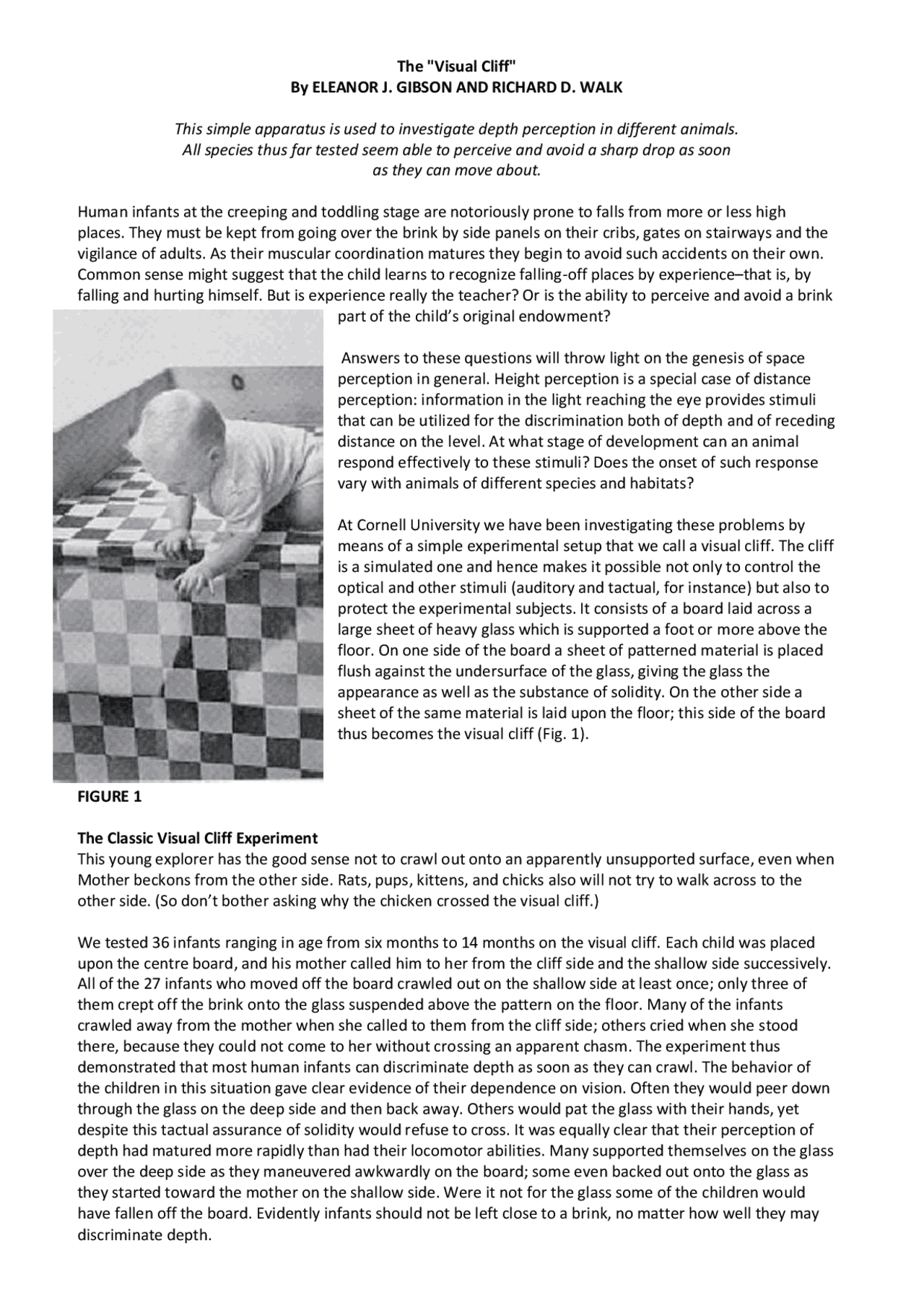 Visual Cliff | Study Guides, Projects, Research History | Docsity