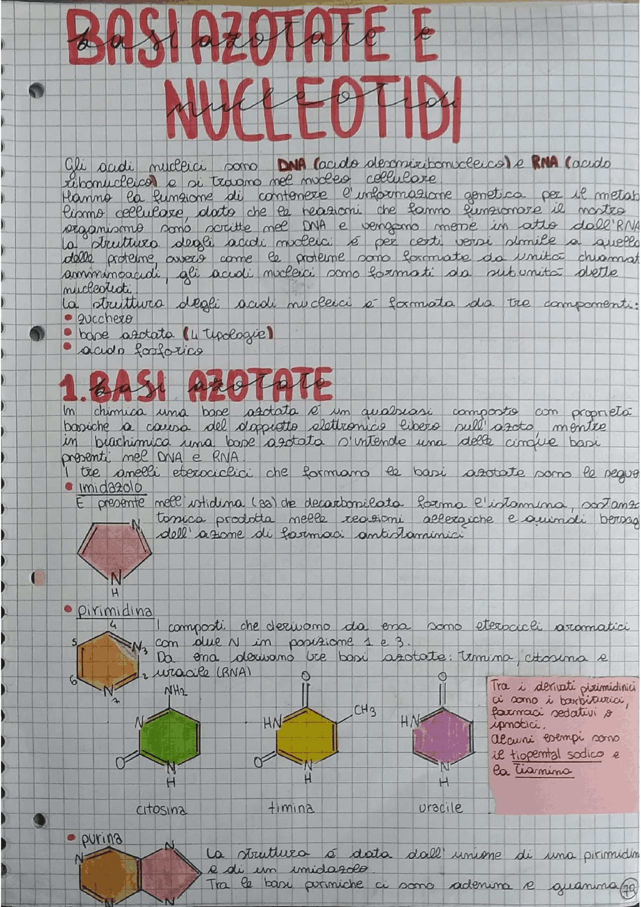 Basi azotate e acidi nucleici | Dispense di Chimica organica | Docsity