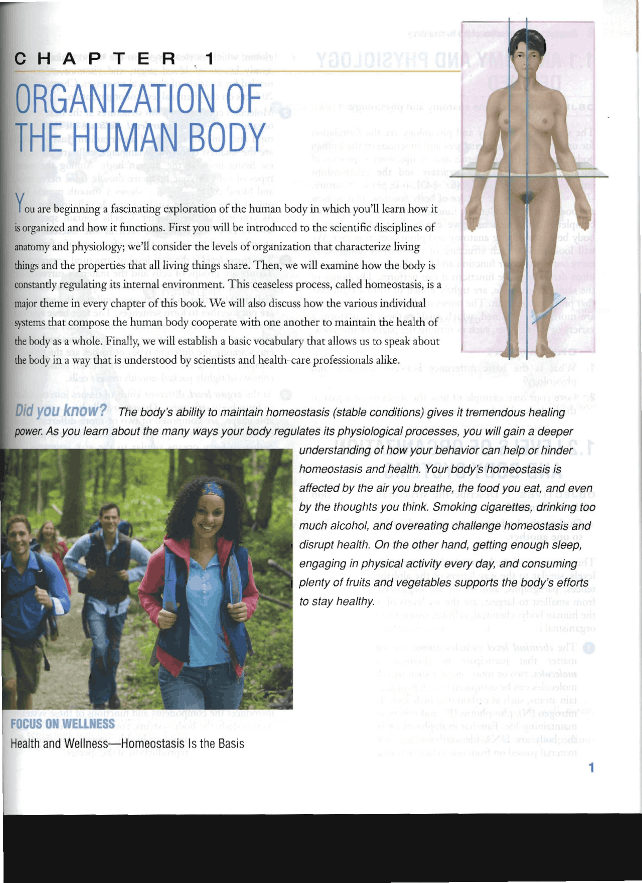 ORGANIZATION OF THE HUMAN BODY | Study notes Anatomy | Docsity