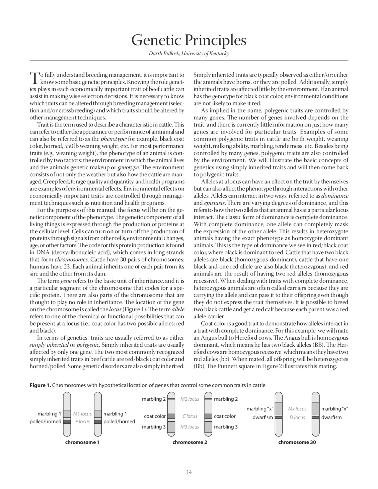 Genetic Principles Slides Genetics Docsity