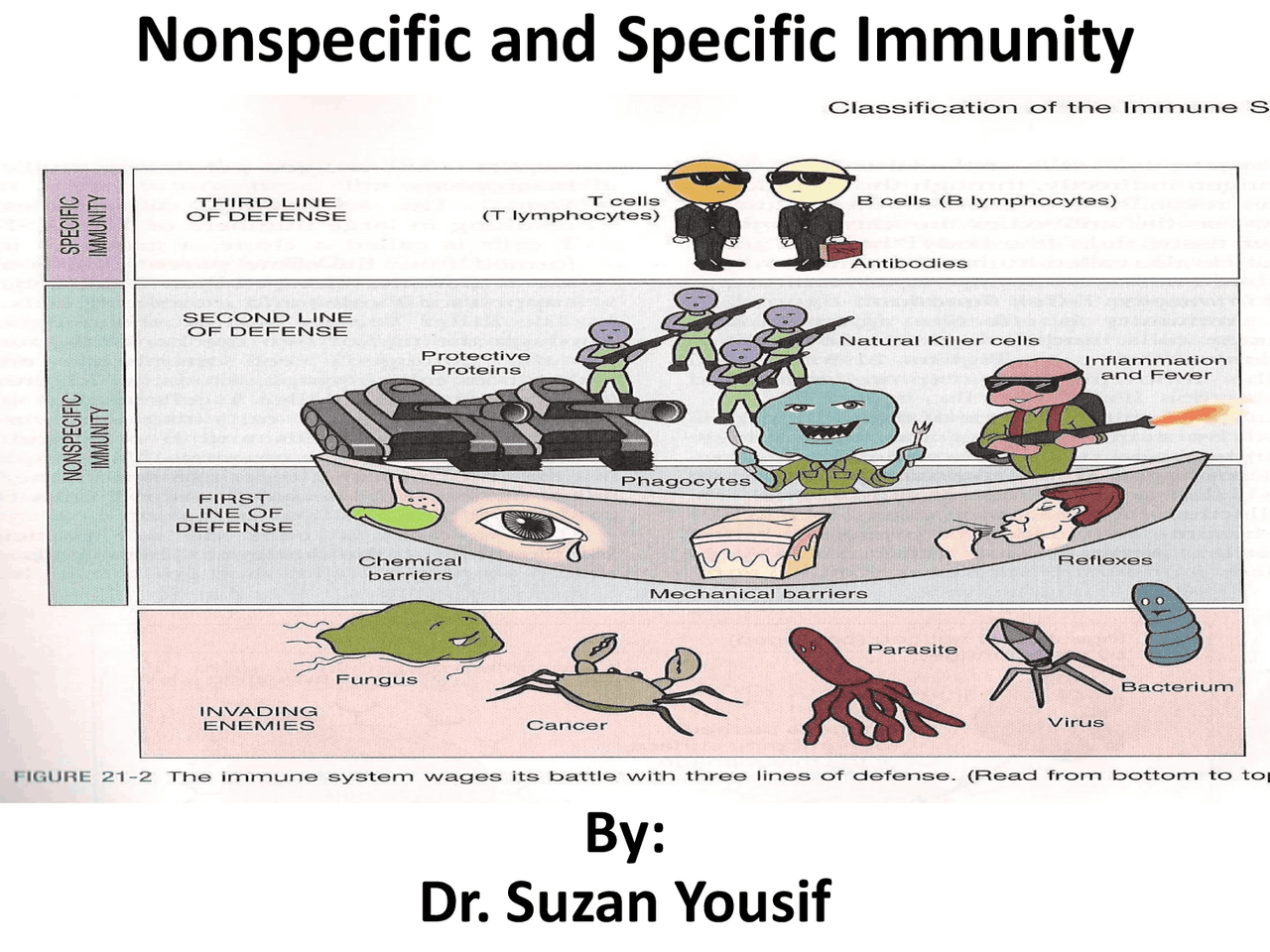 Nonspecific and Specific Immunity | Study notes Immunology | Docsity