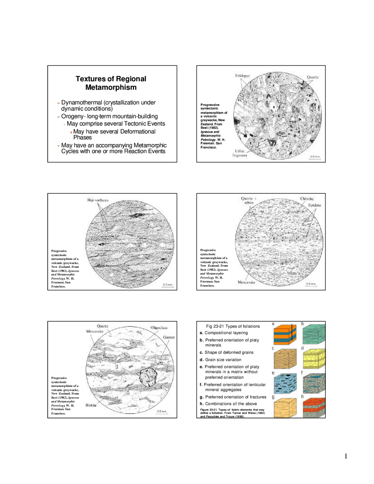 1 Textures of Regional Metamorphism | Study Guides, Projects, Research ...