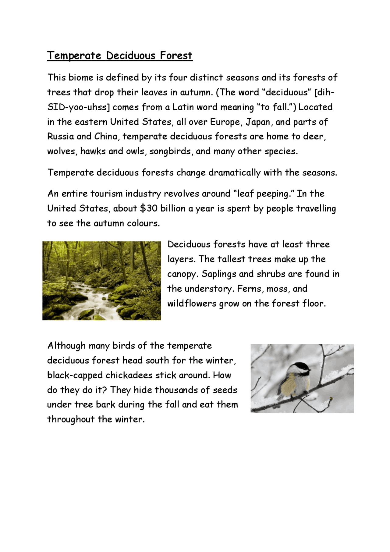 Temperate Deciduous Forest Summaries Latin Docsity