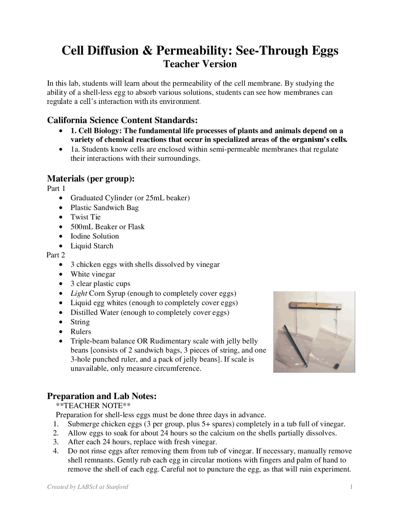Cell Diffusion And Permeability See Through Eggs Slides Cell Biology