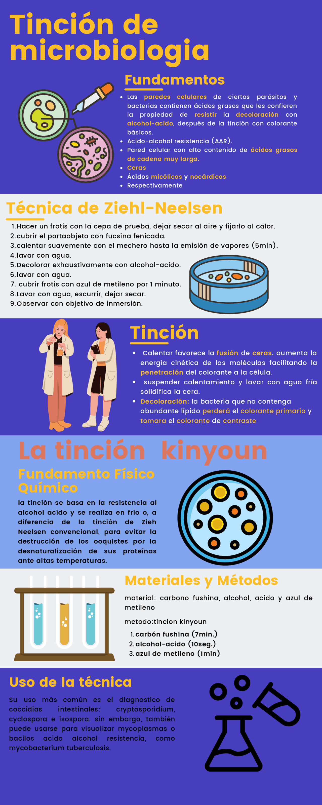 Tinciones De Microbiologia Esquemas Y Mapas Conceptuales De
