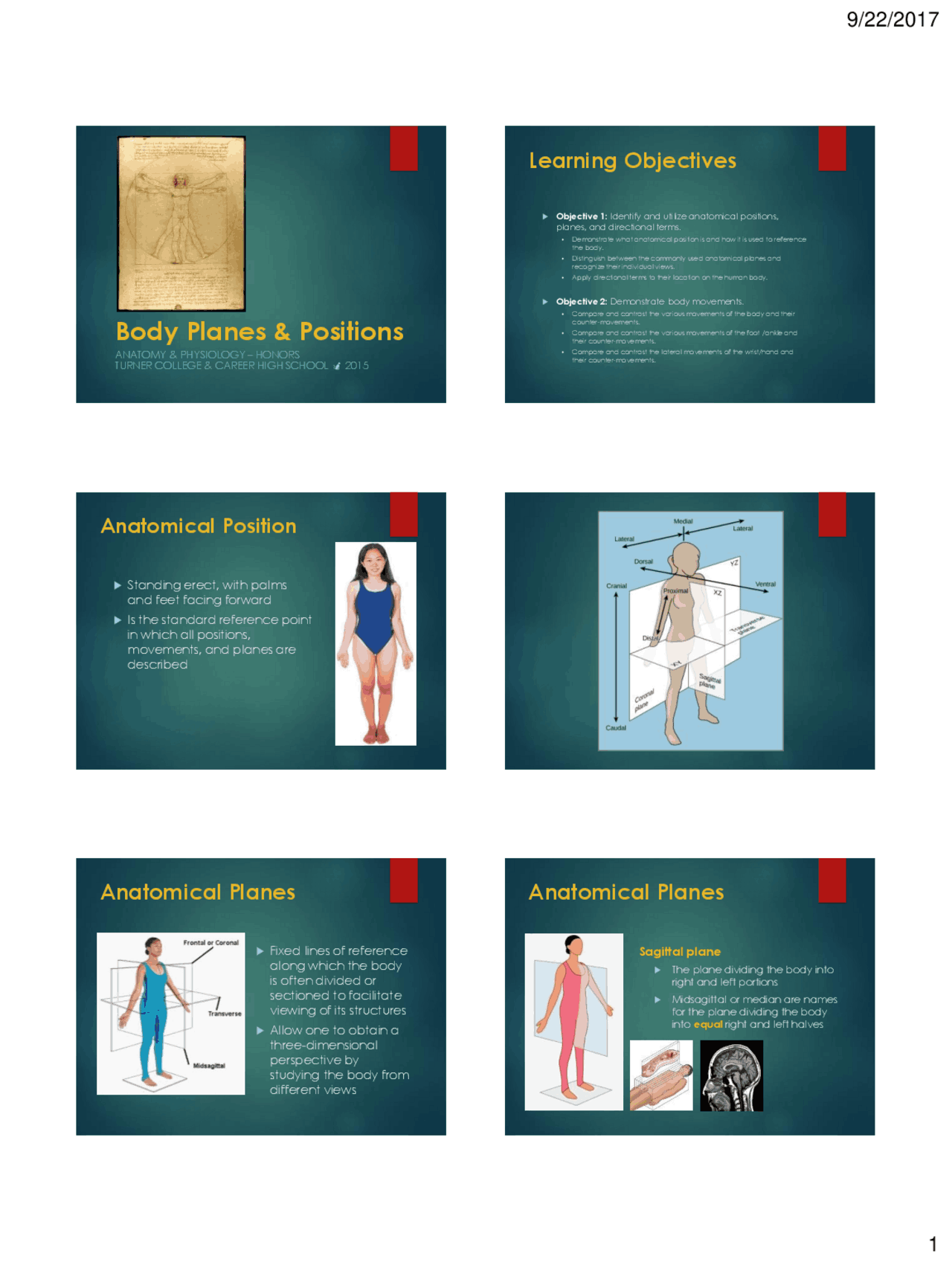 01-Anatomical Positions 2017.pdf | Study notes Anatomy | Docsity
