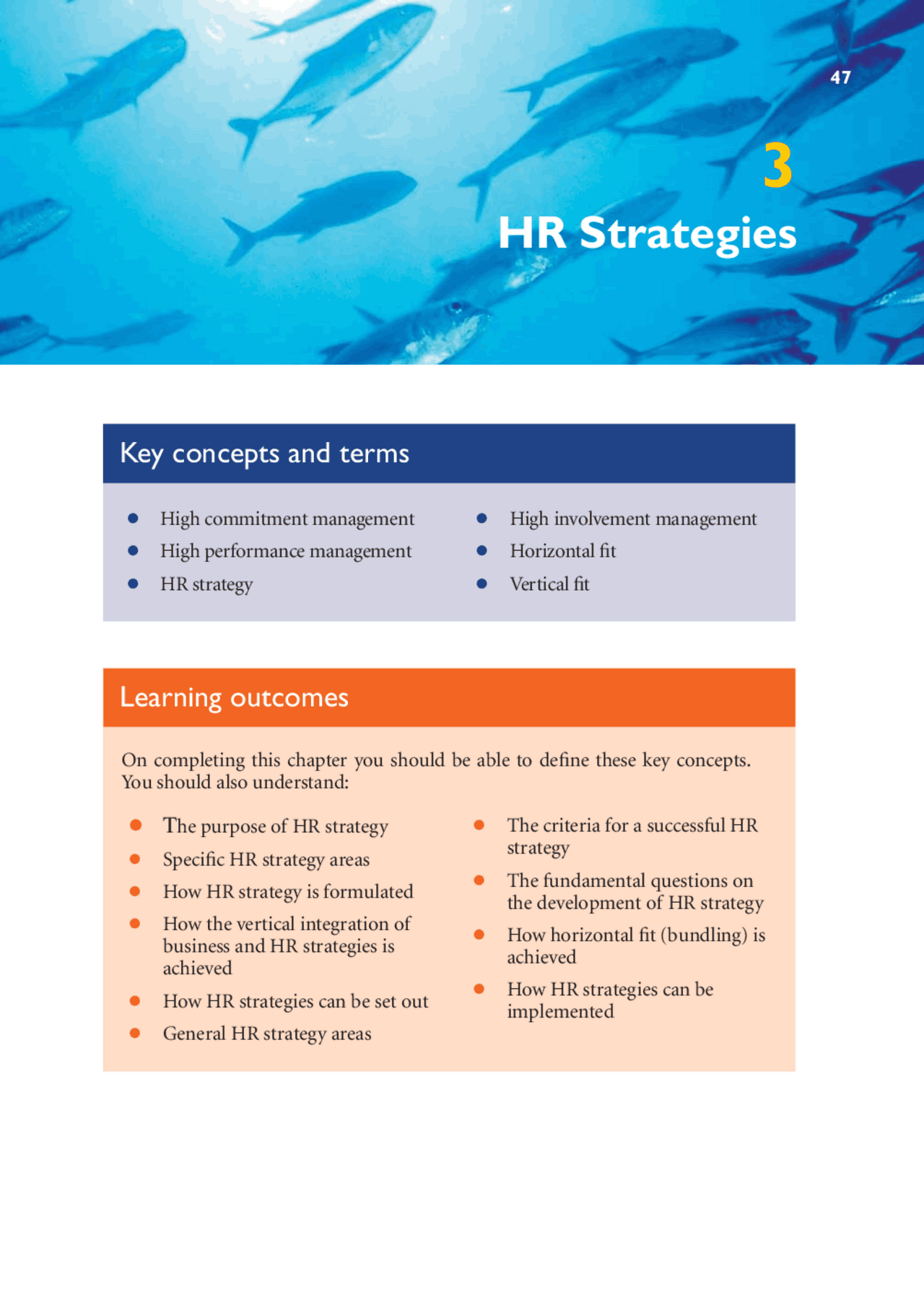Hr Strategies Lecture Notes Business Docsity