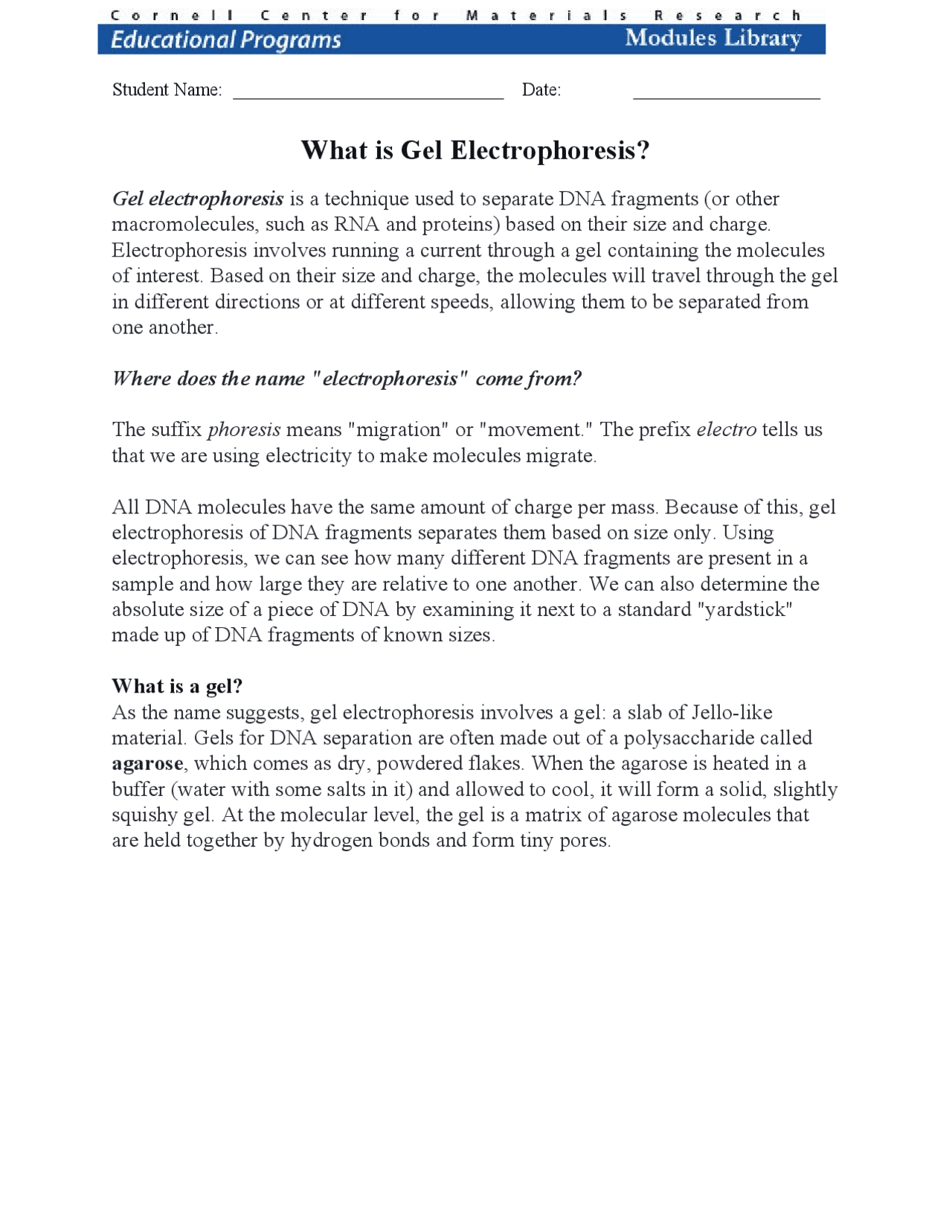 What is Gel Electrophoresis? | Study Guides, Projects, Research ...