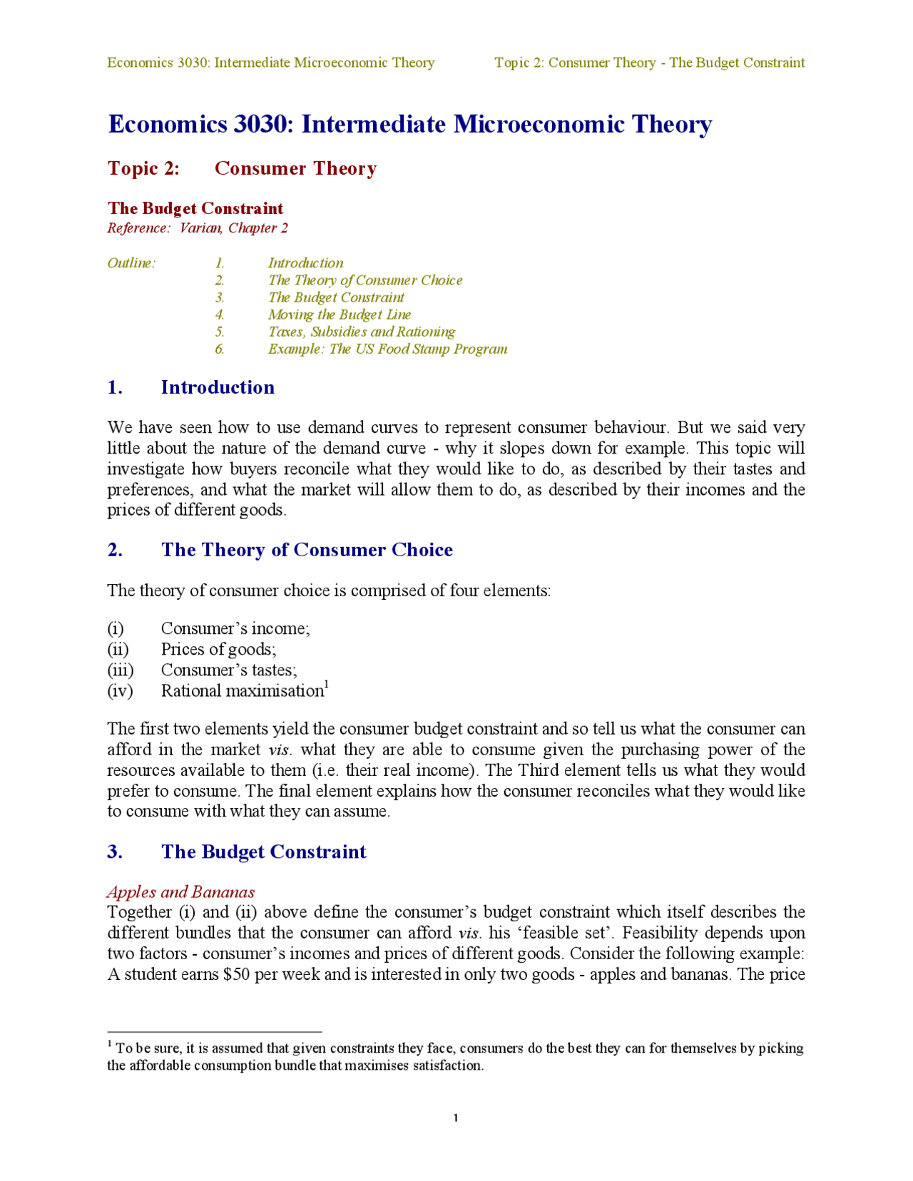 Consumer Theory - The Budget Constraint | Lecture notes Economics | Docsity
