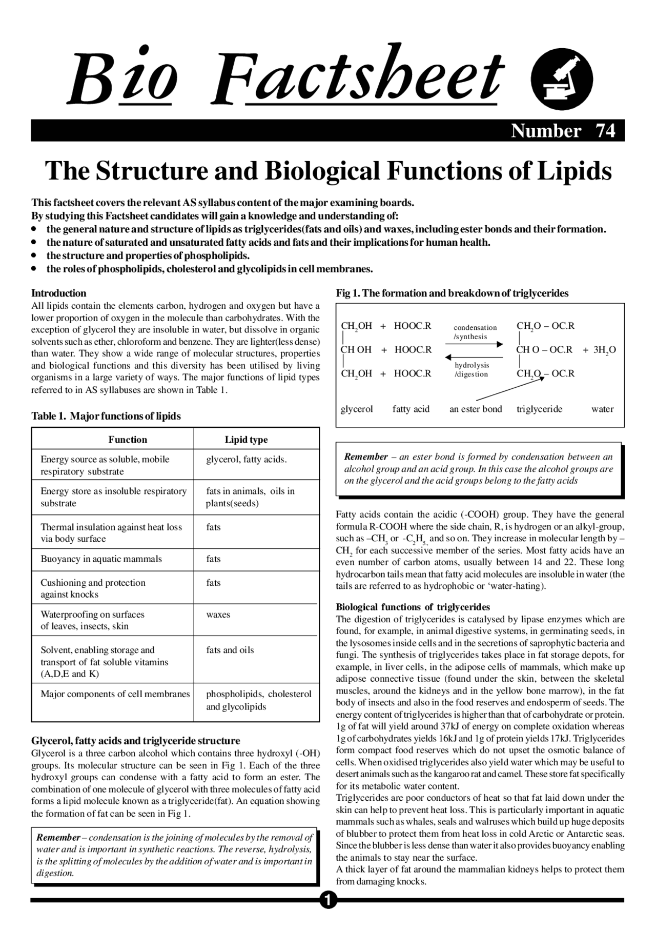 The Structure And Biological Functions Of Lipids Exercises Biology