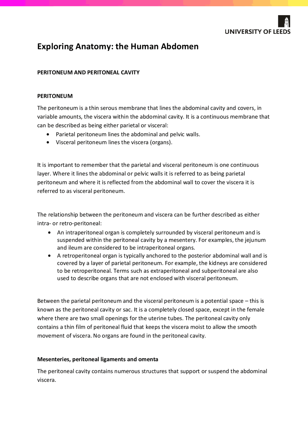 Exploring Anatomy: the Human Abdomen | Study notes Anatomy | Docsity