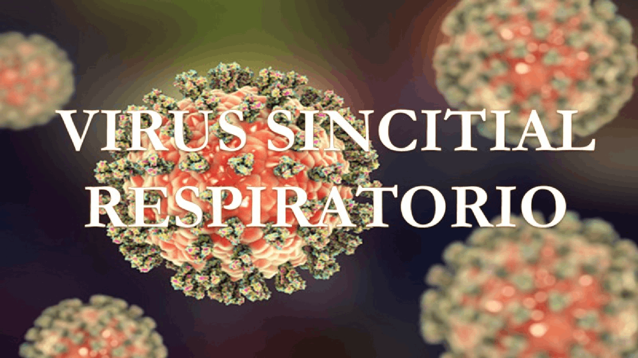 Paramixovirus - microbiologia | Diapositivas de Microbiología | Docsity