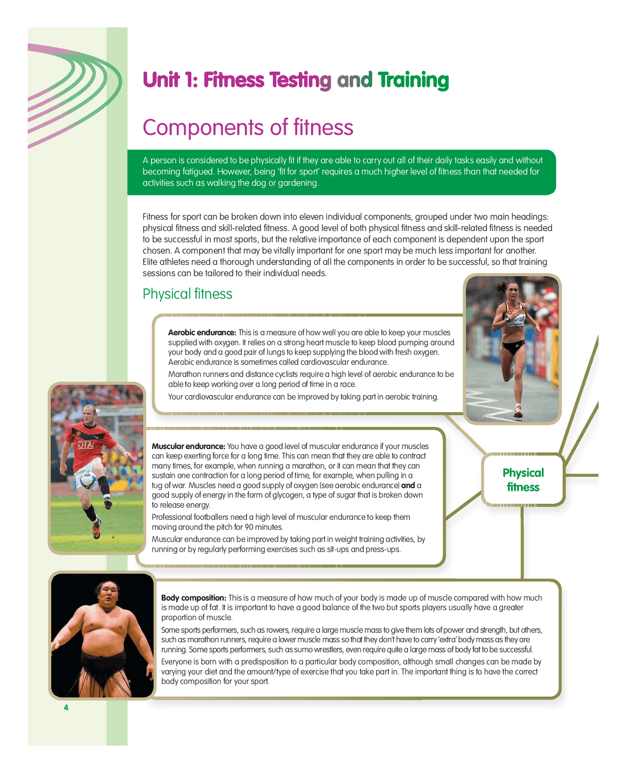 Components of fitness | Slides Design | Docsity