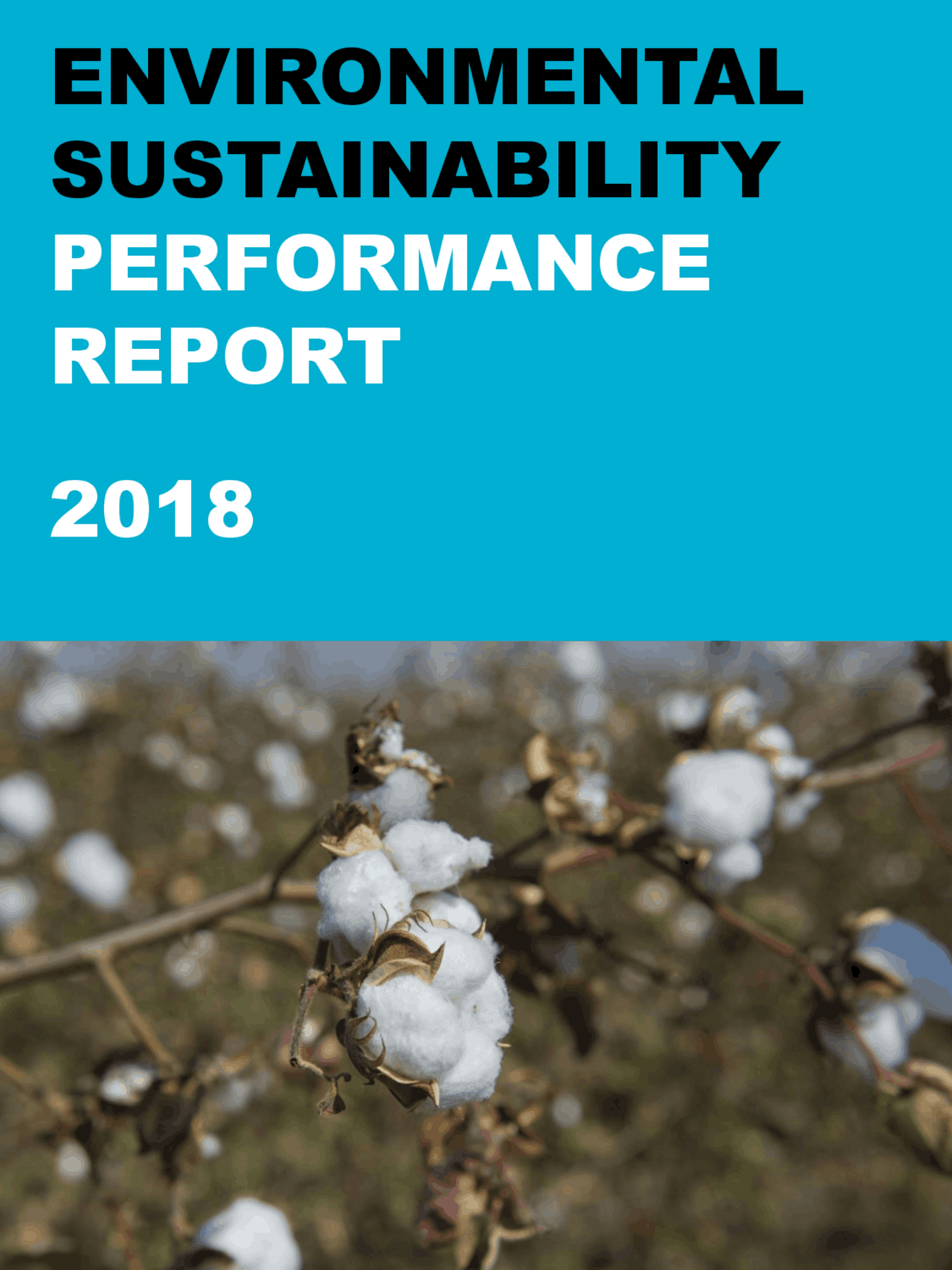 PRIMARK ENVIRONMENTAL SUSTAINABILITY ... | Exams Business | Docsity