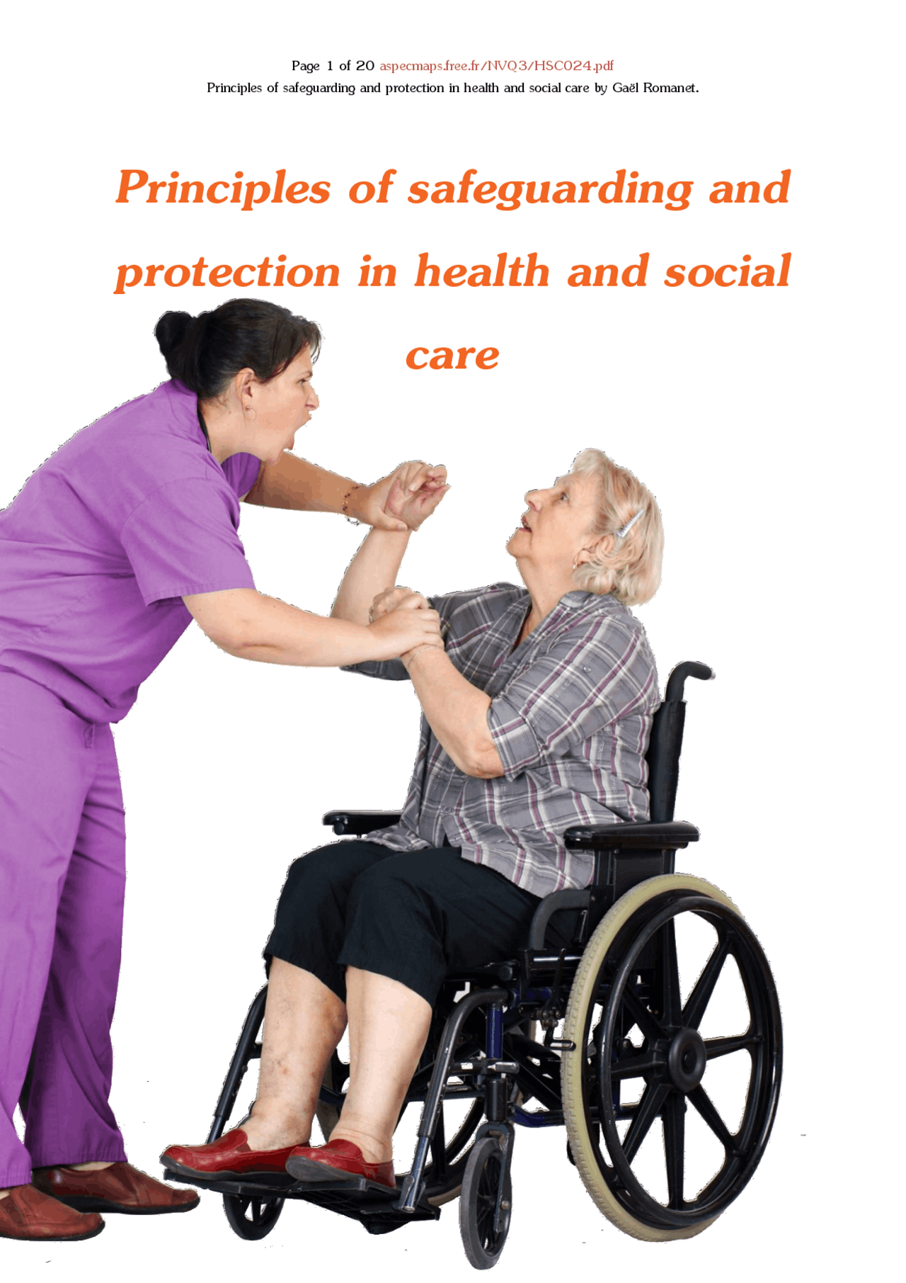 Principles of safeguarding and protection in health and social ...