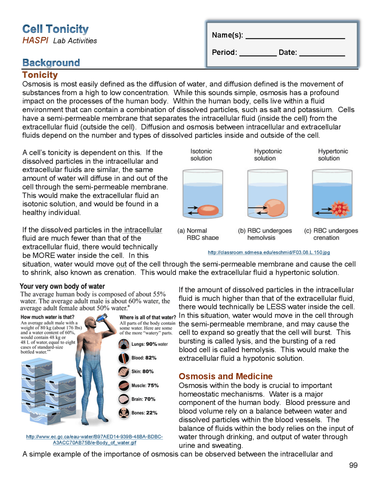 6. Cell Tonicity LAB.pdf | Summaries Medicine | Docsity