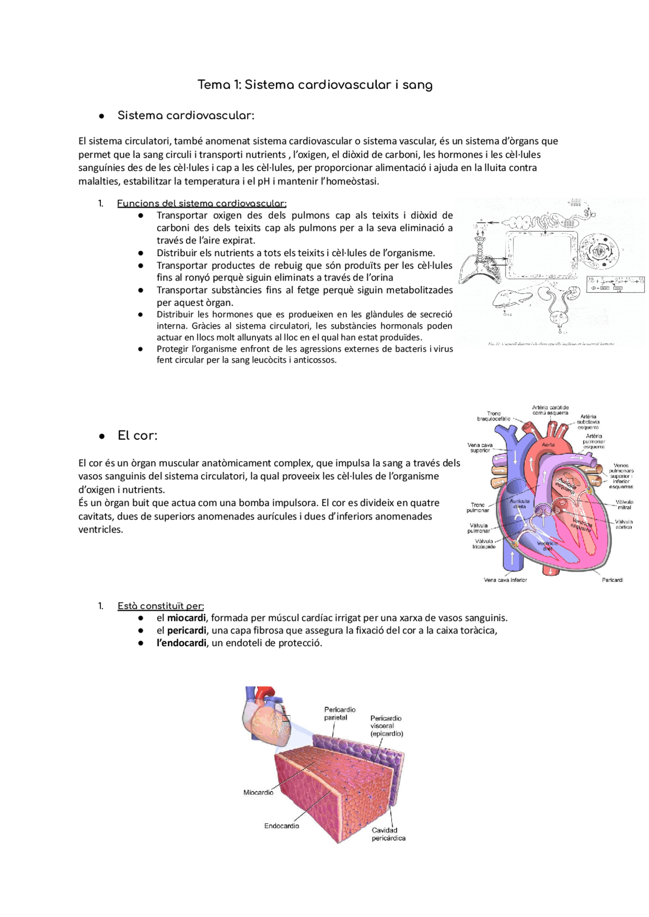 Apuntes De Bioquímica Apuntes De Biología Docsity
