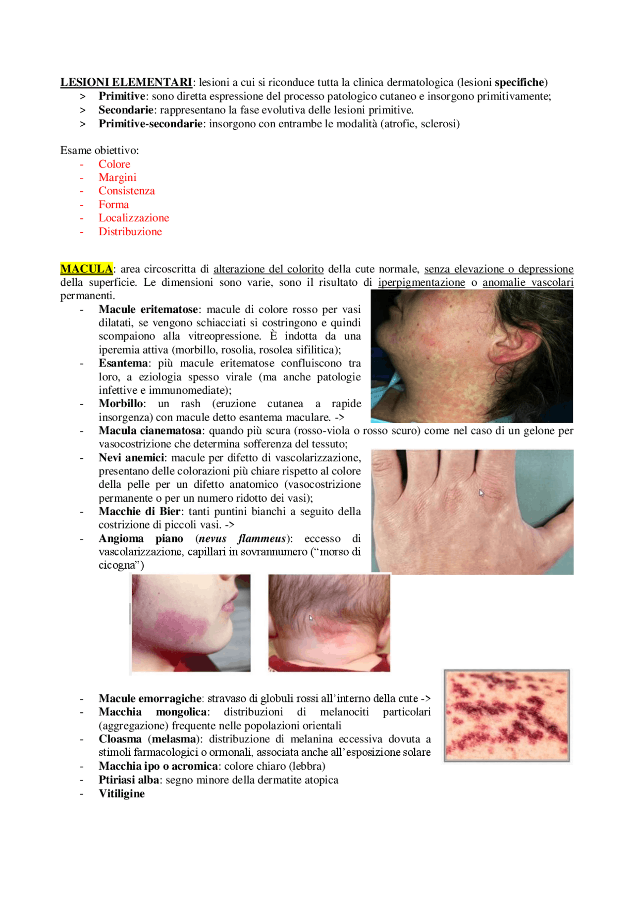 Lesioni elementari della cute | Schemi e mappe concettuali di Dermatologia | Docsity