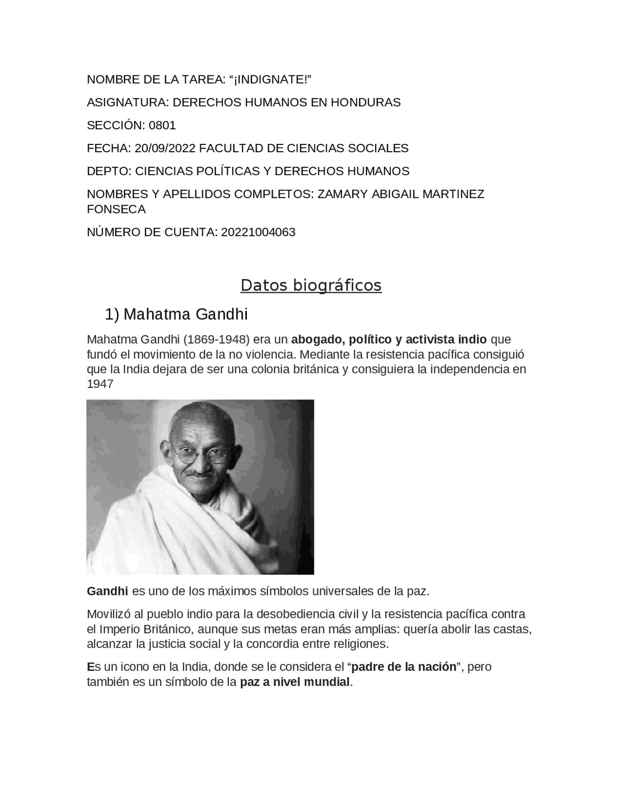 Indignate De Derechos Humanos Resúmenes De Derechos Humanos Docsity