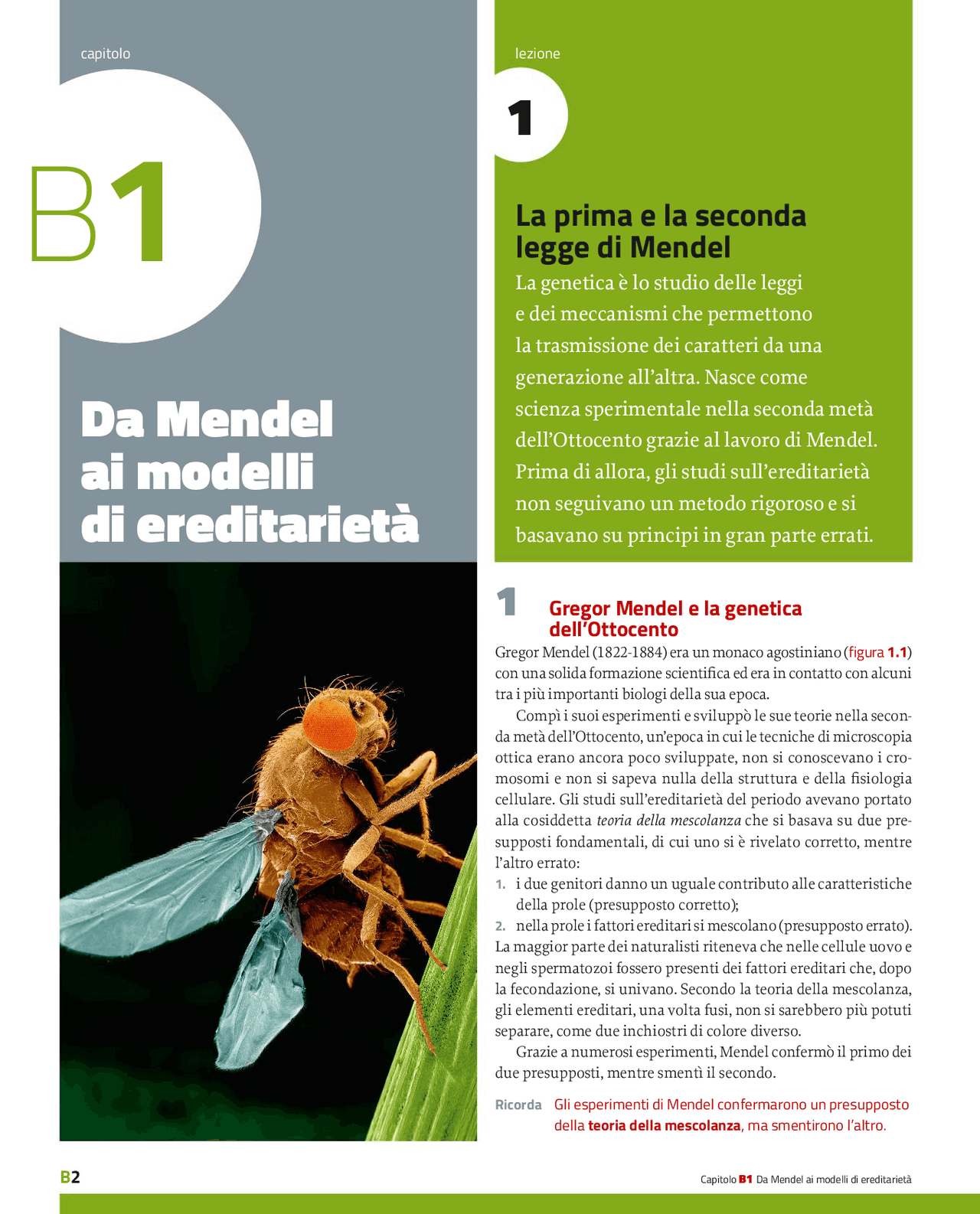 Da Mendel Ai Modelli Di Ereditarietà Guide Progetti E Ricerche Di