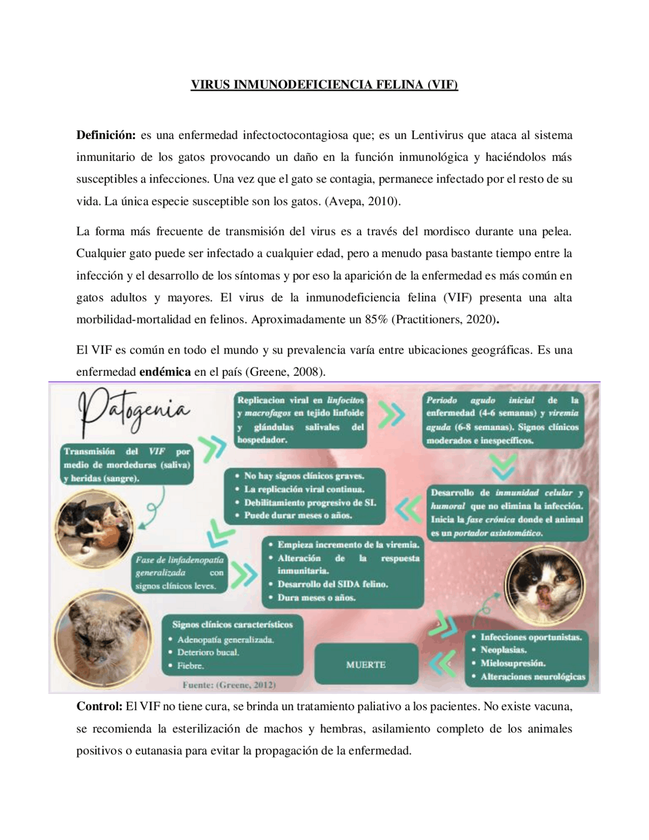 Enfermedades Felinas Resúmenes De Patología Docsity