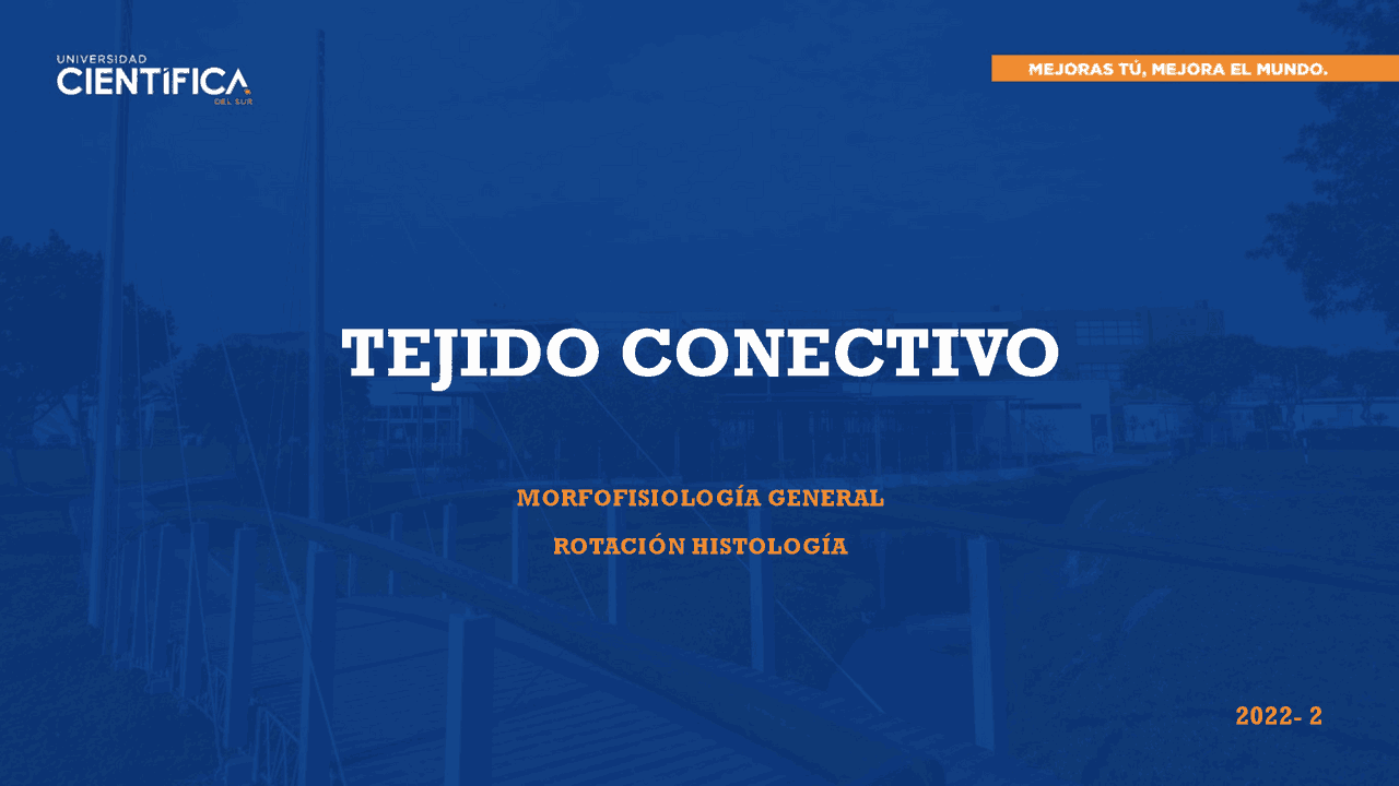 Semana 5 Tejido Conectivo Resúmenes De Biología Docsity