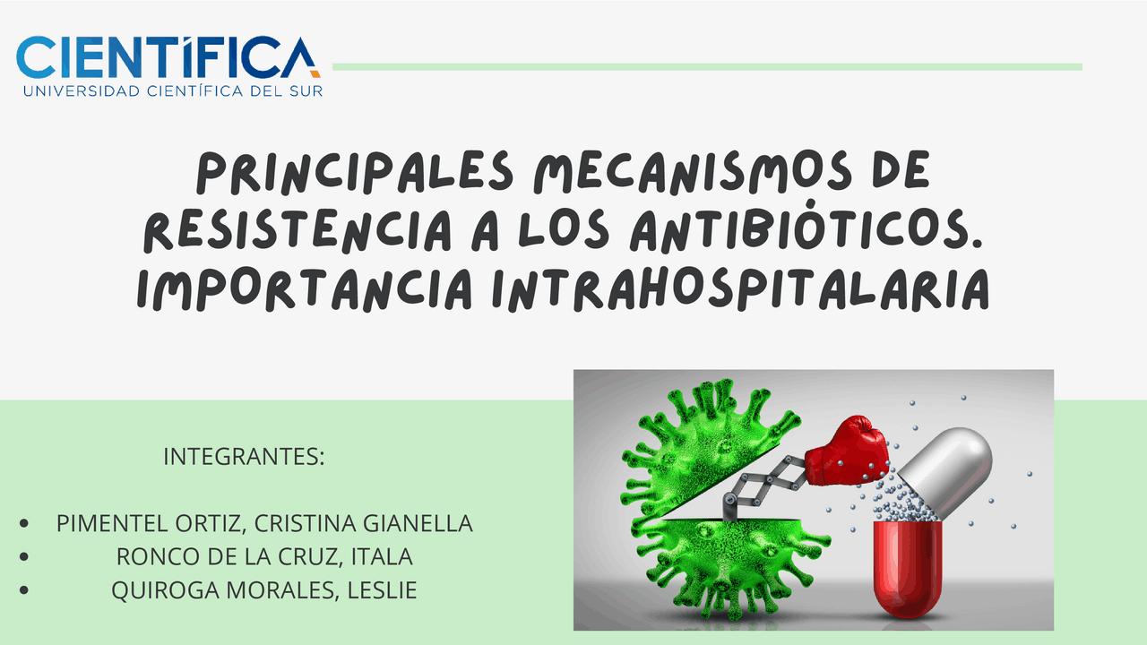 Principales Mecanismos De Resistencia A Los Antibióticos Diapositivas